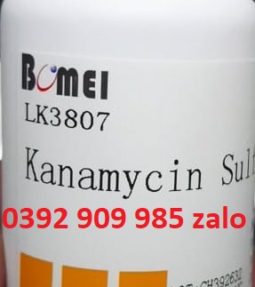 Hoá chất Kanmycin Sulfate BioBomei